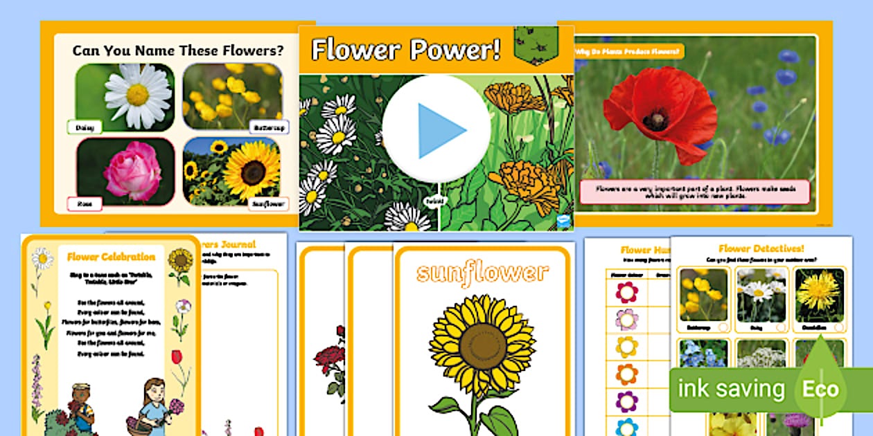 Outdoor Explorers KS1 Summer Lesson 3 Flower Power! - Twinkl