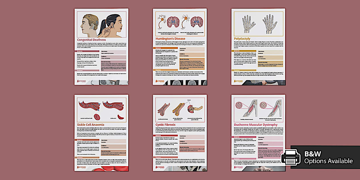 Inherited Disorders Information Posters | Biology | Beyond
