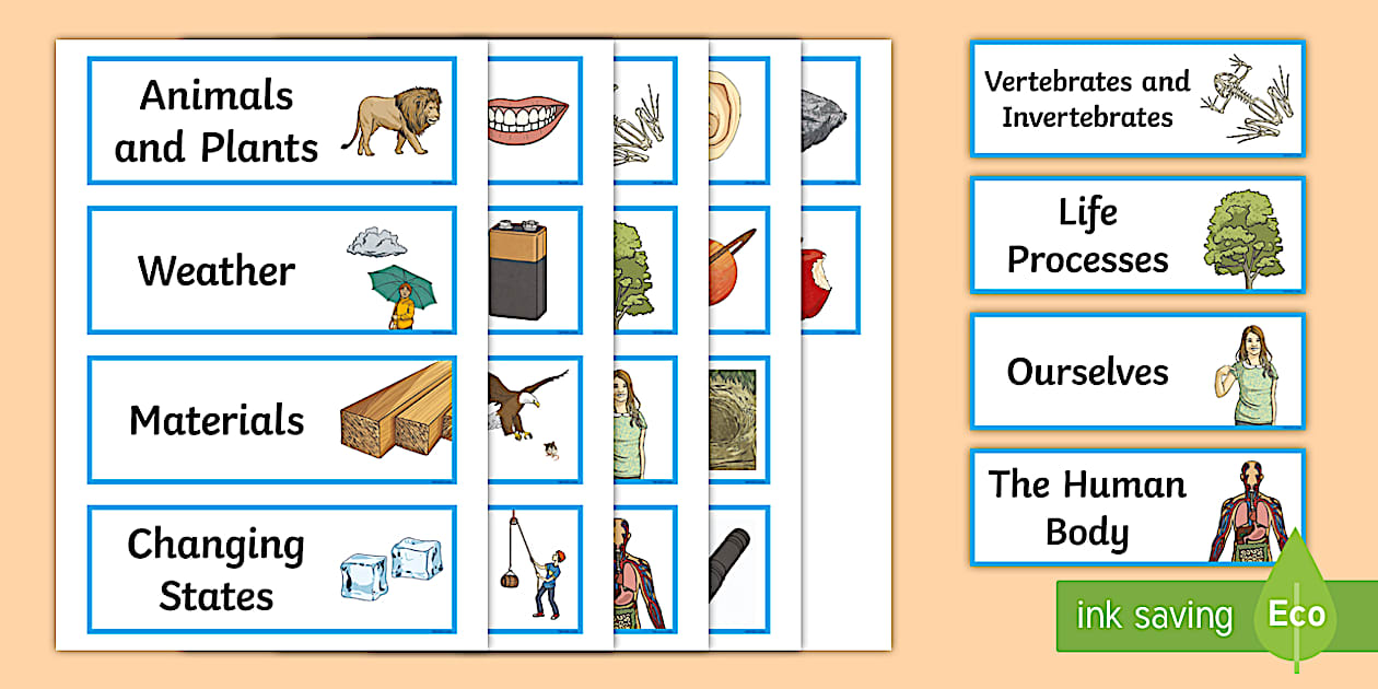 Science Topic Labels | Science Labels and Signs - Twinkl