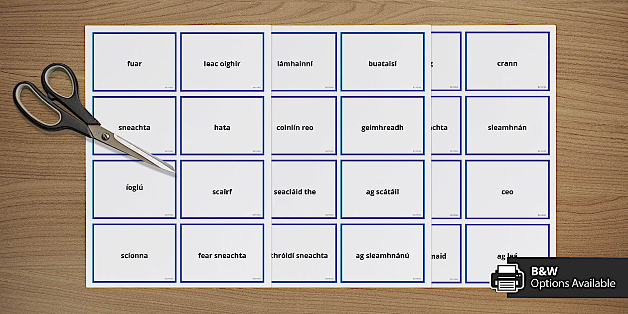 An Geimhreadh - Cártaí Focail (Teacher-Made) - Twinkl