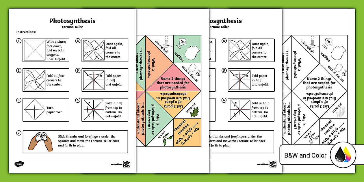 Photosynthesis Fortune Teller for 3rd-5th Grade - Twinkl