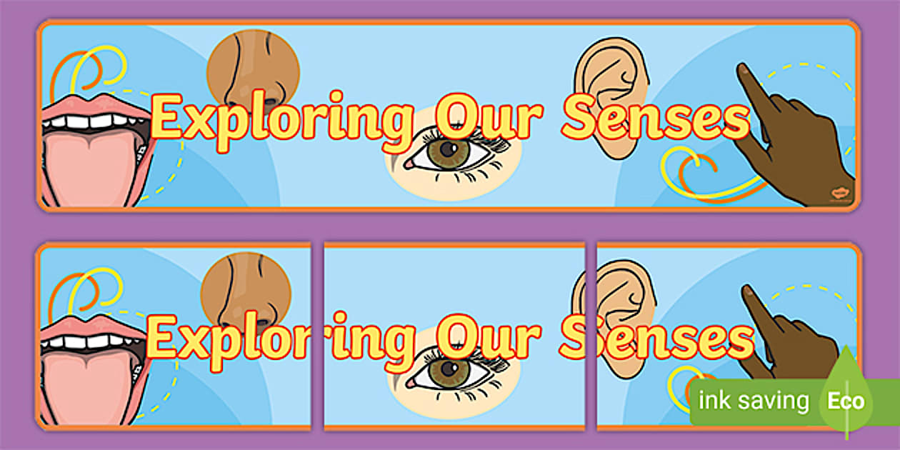Exploring Our Senses Display Banner (teacher made) - Twinkl