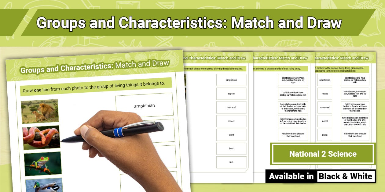 Groups and Characteristics Match & Draw Activity