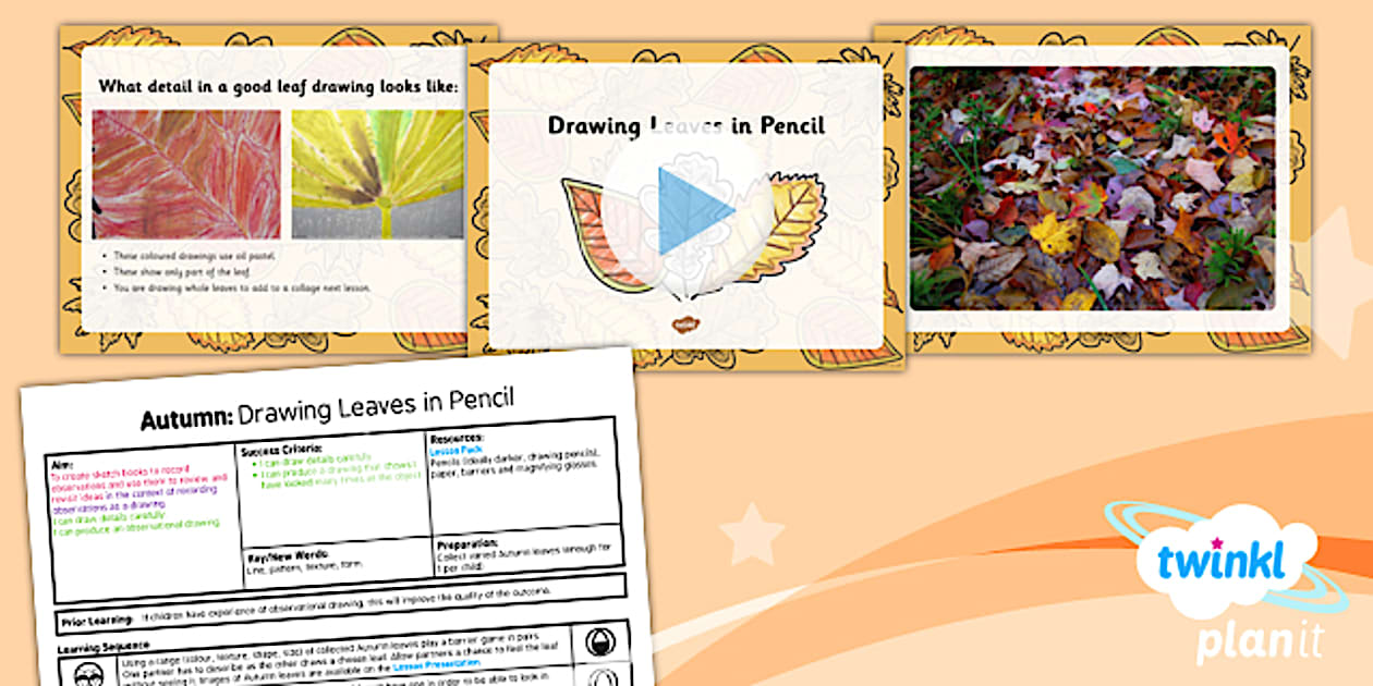 Art: Autumn: Drawing Leaves in Pencil LKS2 Lesson Pack 1