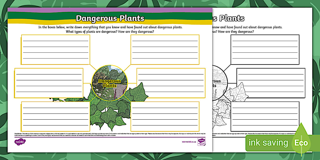 Dangerous Plants Mind Map (l'insegnante ha fatto) - Twinkl