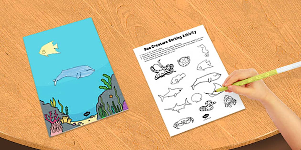 Sea Creature Sorting Activity (teacher made) - Twinkl