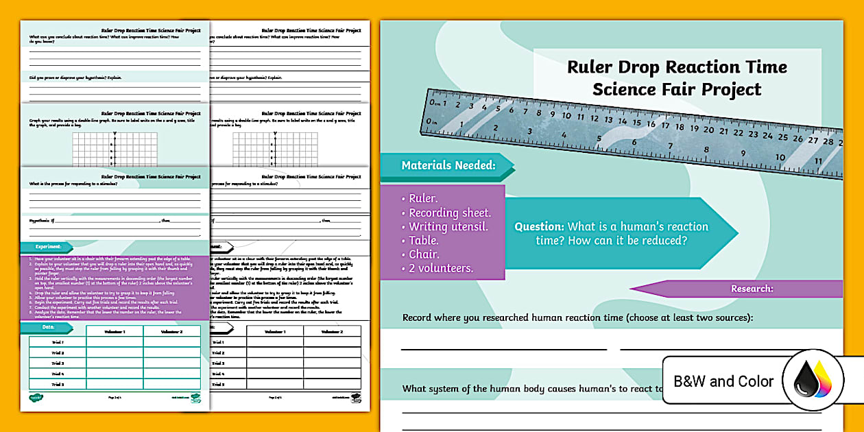 Reaction Time Test Science Project | Twinkl USA - Twinkl