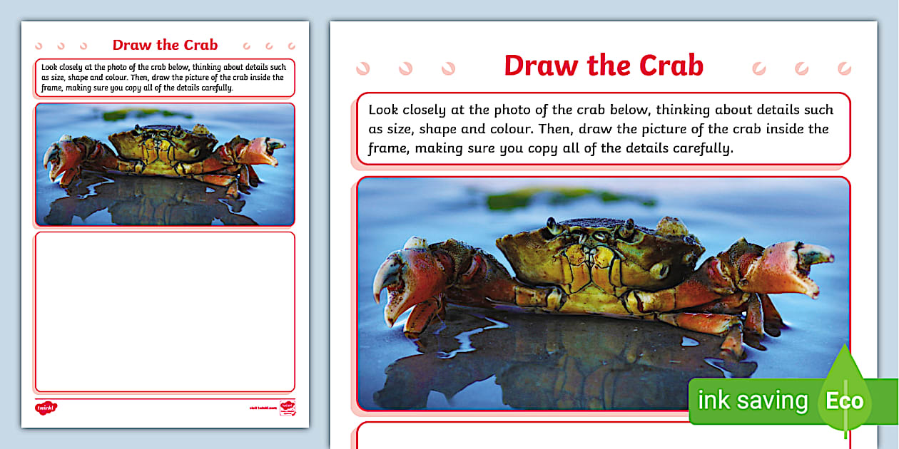 Draw the Crab Art Activity (teacher made) - Twinkl