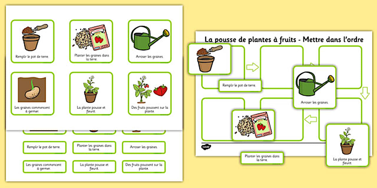 La pousse de plantes à fruits - Mettre dans l'ordre