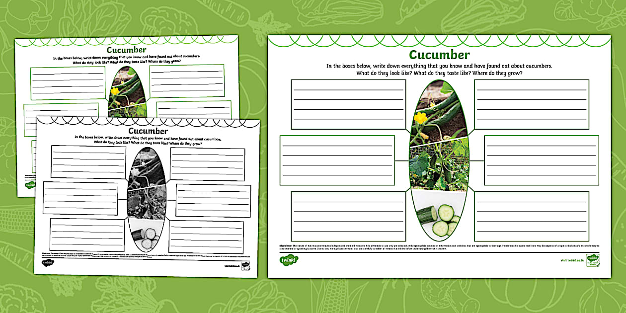 Cucumbers Mind Map (teacher made) - Twinkl