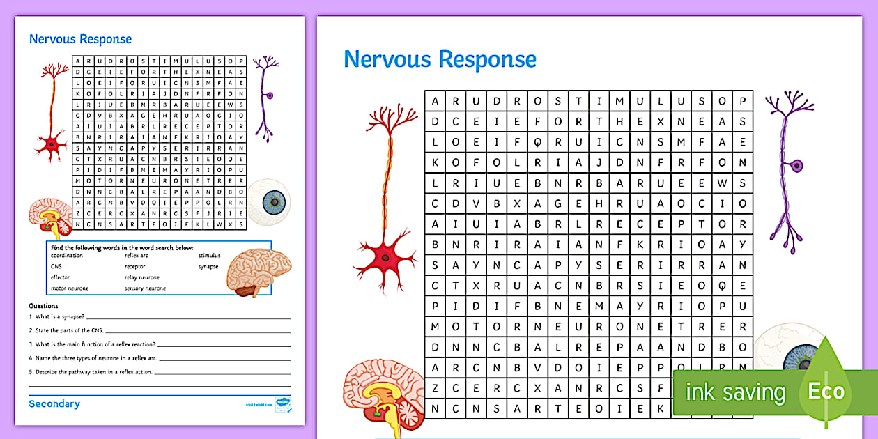 Nervous Response Word Search - KS4 Science Resource - Twinkl