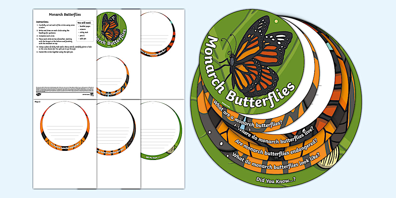 Monarch Butterflies Circles Booklet (teacher made) - Twinkl