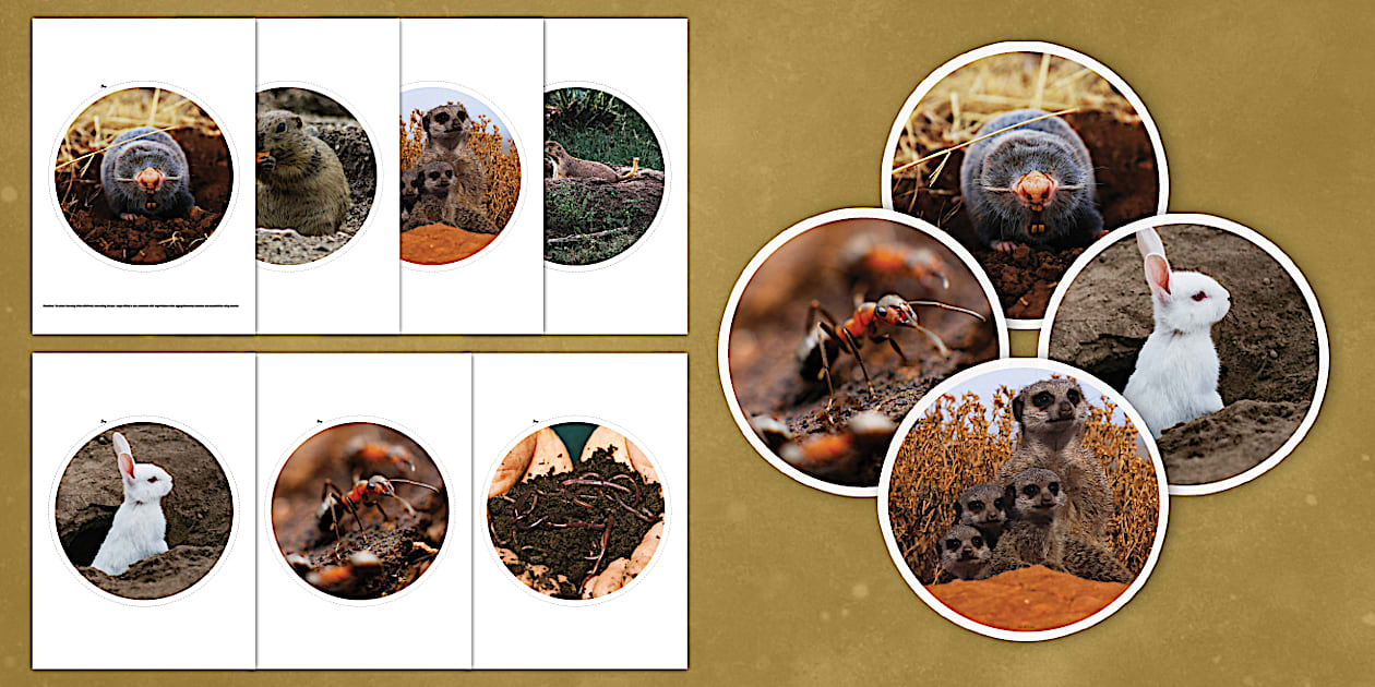 Animals That Live Underground Circle Display Photo Cut-Outs
