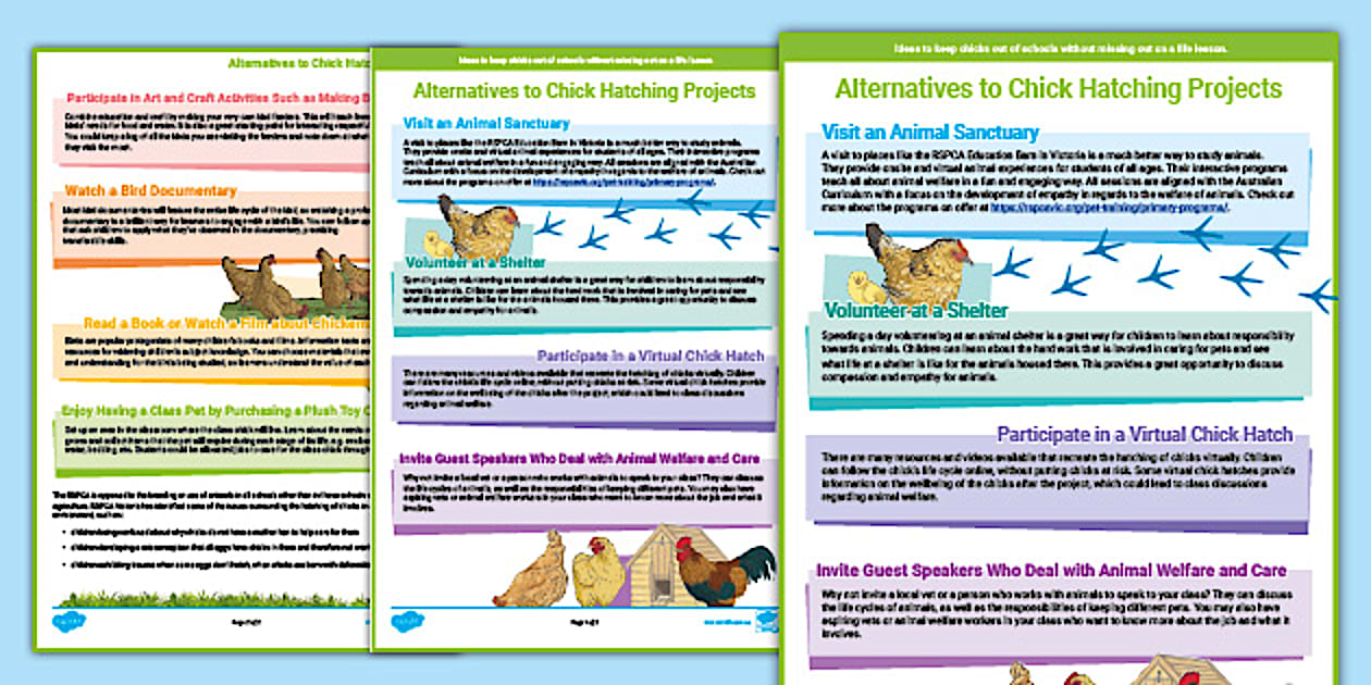Alternatives to Chick Hatching Projects - Information Sheet
