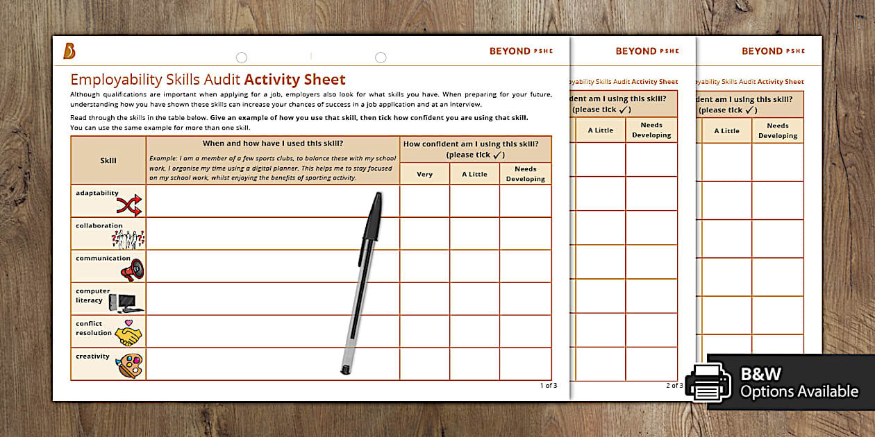 Employability Skills Audit Activity Sheet (teacher made)