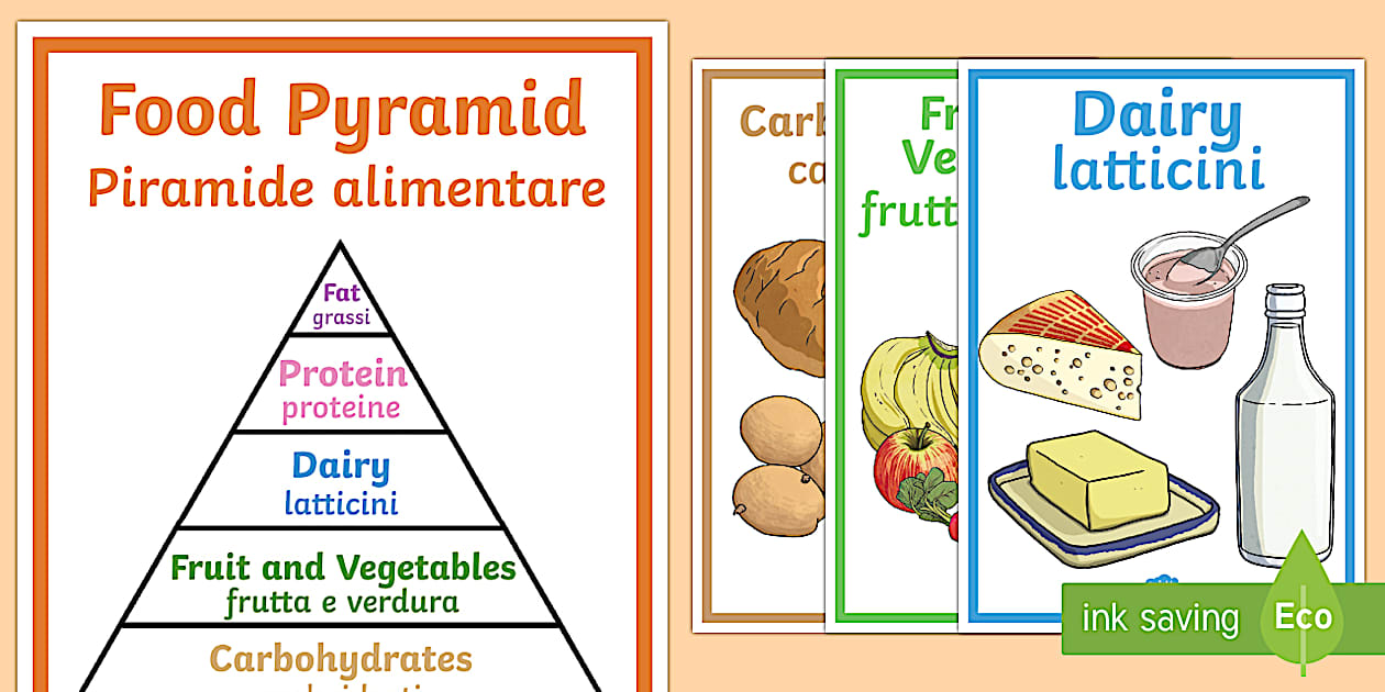 Food Pyramid Display Posters - Food Pyramid Display Posters