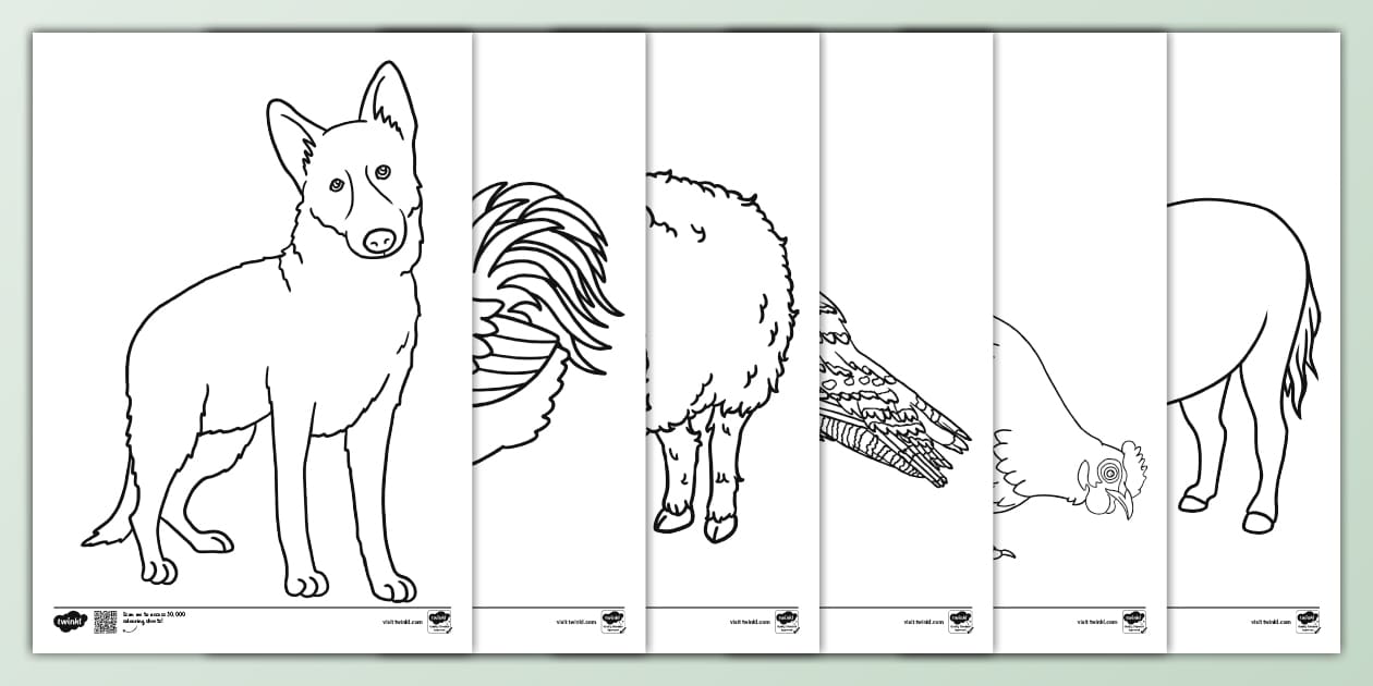 Coloring Sheets to Support Teaching on Farmyard Hullabaloo