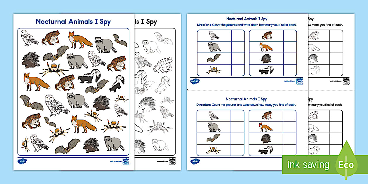 Nocturnal Animals I Spy Activity - Twinkl