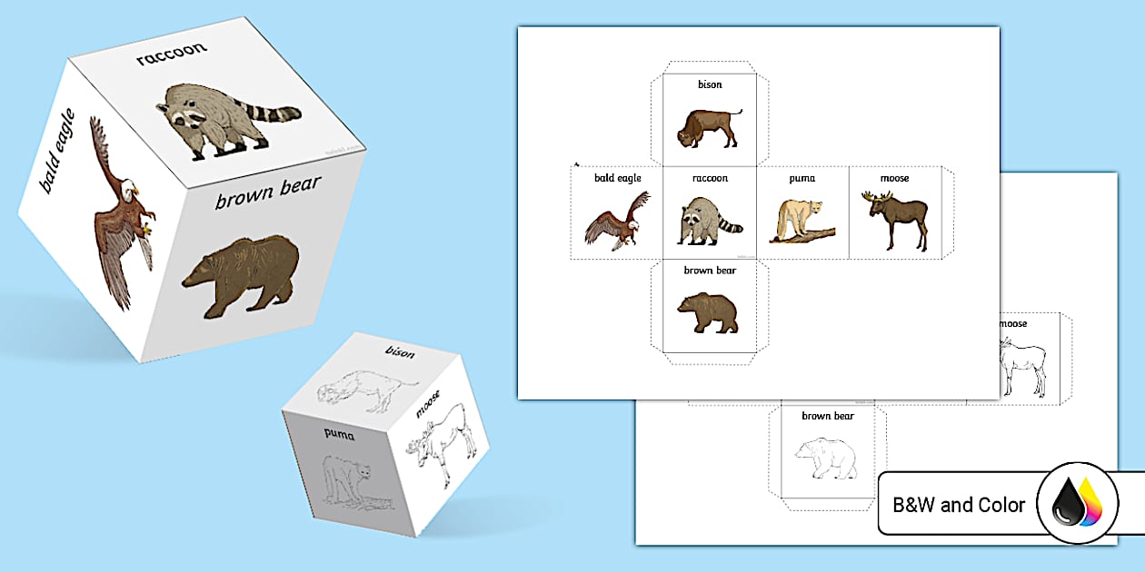 North American Animal Dice Net (Teacher-Made) - Twinkl