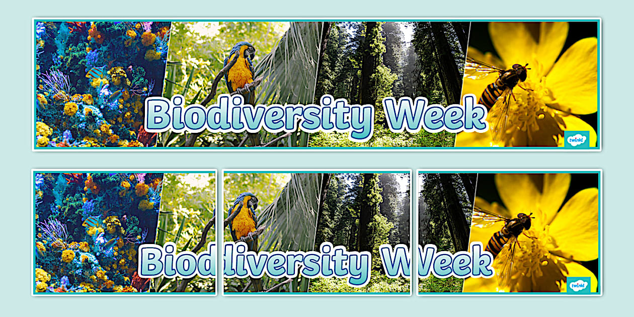 Biodiversity Week Photo Display Banner (Teacher-Made)
