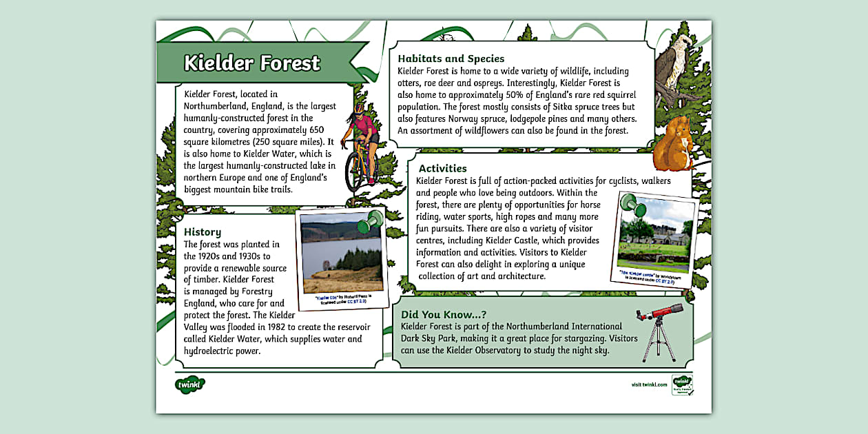 Kielder Forest Fact File (Teacher-Made) - Twinkl
