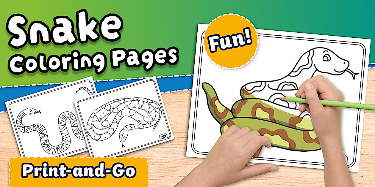 Snake Coloring Pages (teacher made) - Twinkl