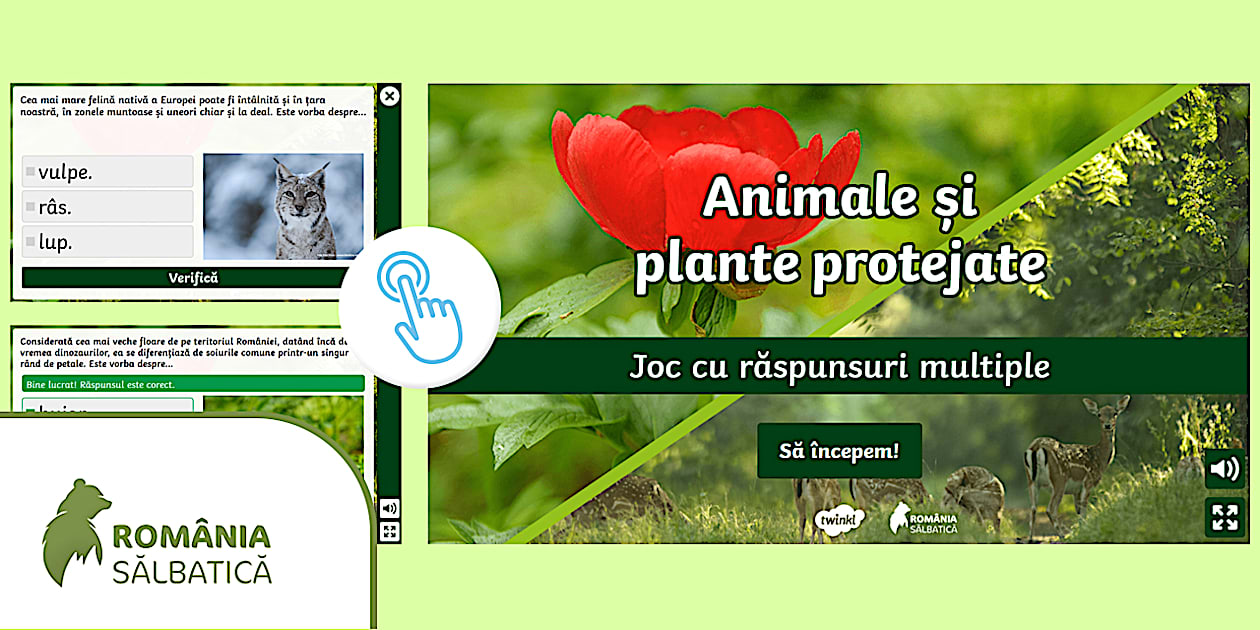 FREE! - România Sălbatică Animale și plante protejate Joc online cu ...