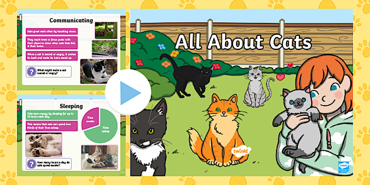 All About Cats Information PowerPoint | Parent Support