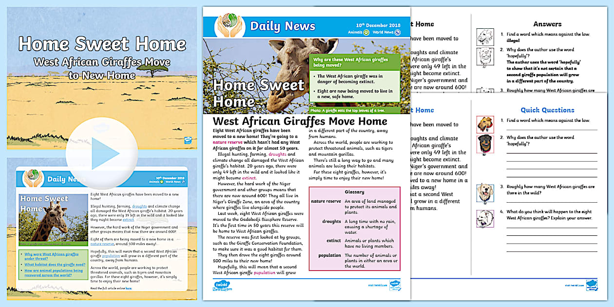 LKS2 Saving Giraffes Daily News Resource Pack (teacher made)