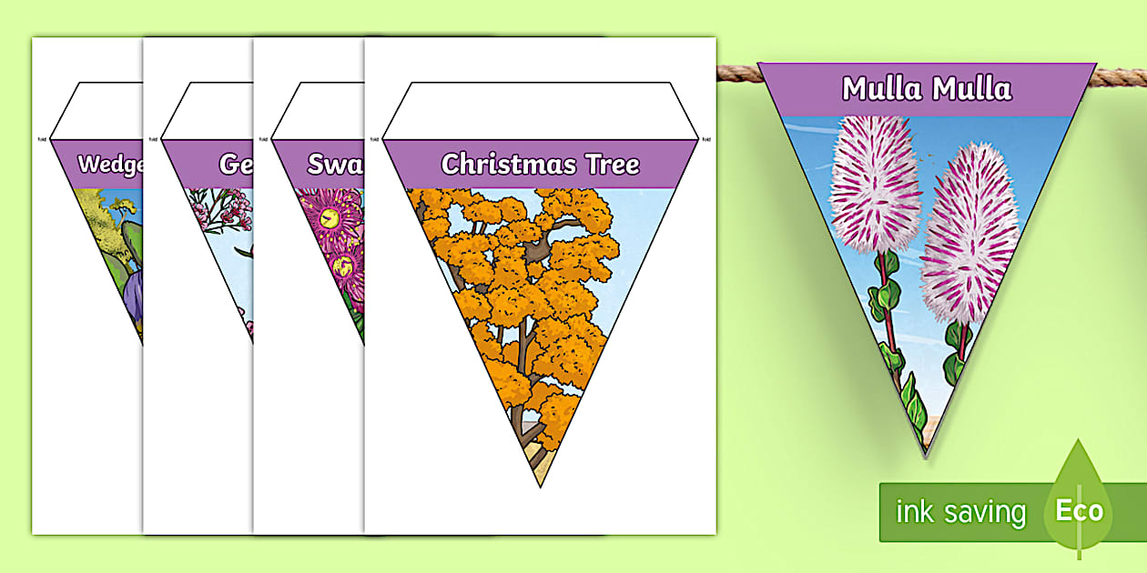 Western Australian Native Plants Display Bunting