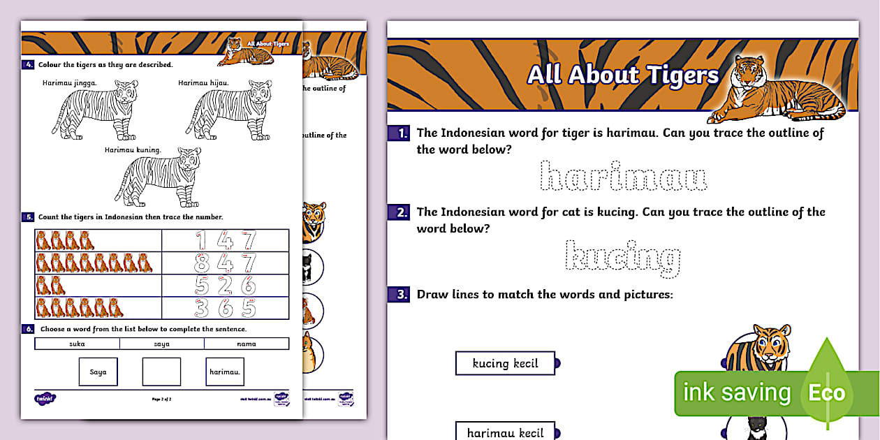 Indonesian Animals: All About Tigers Lower Primary - Twinkl