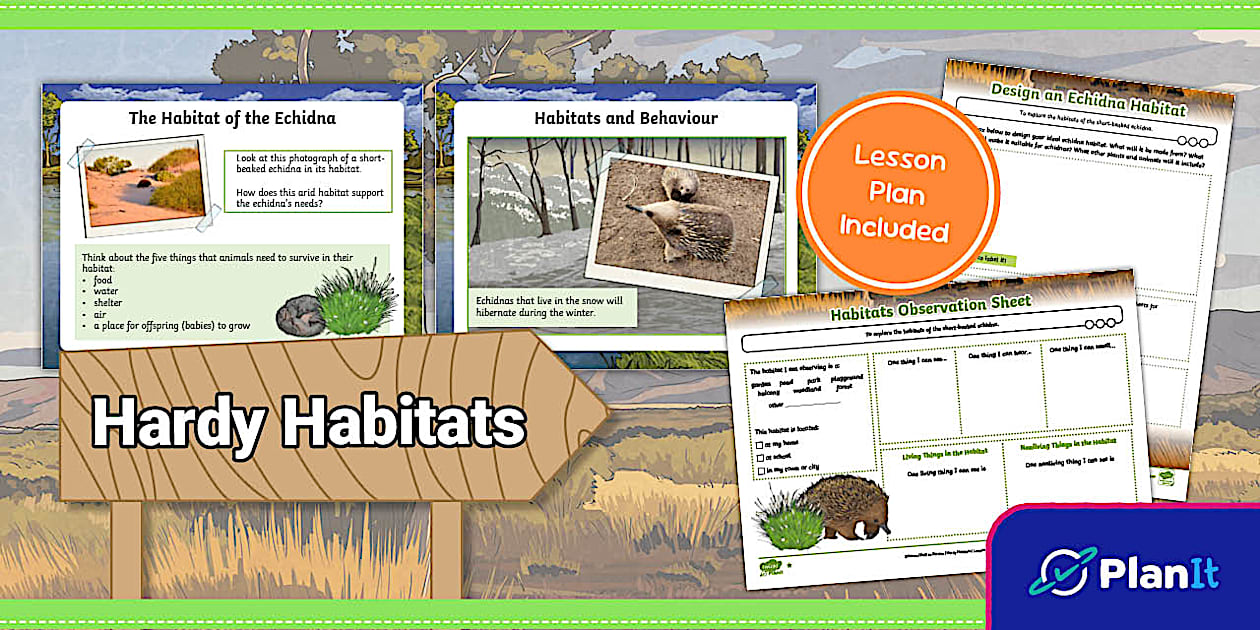 Year 5 Science Built to Survive Lesson 2 Hardy Habitats