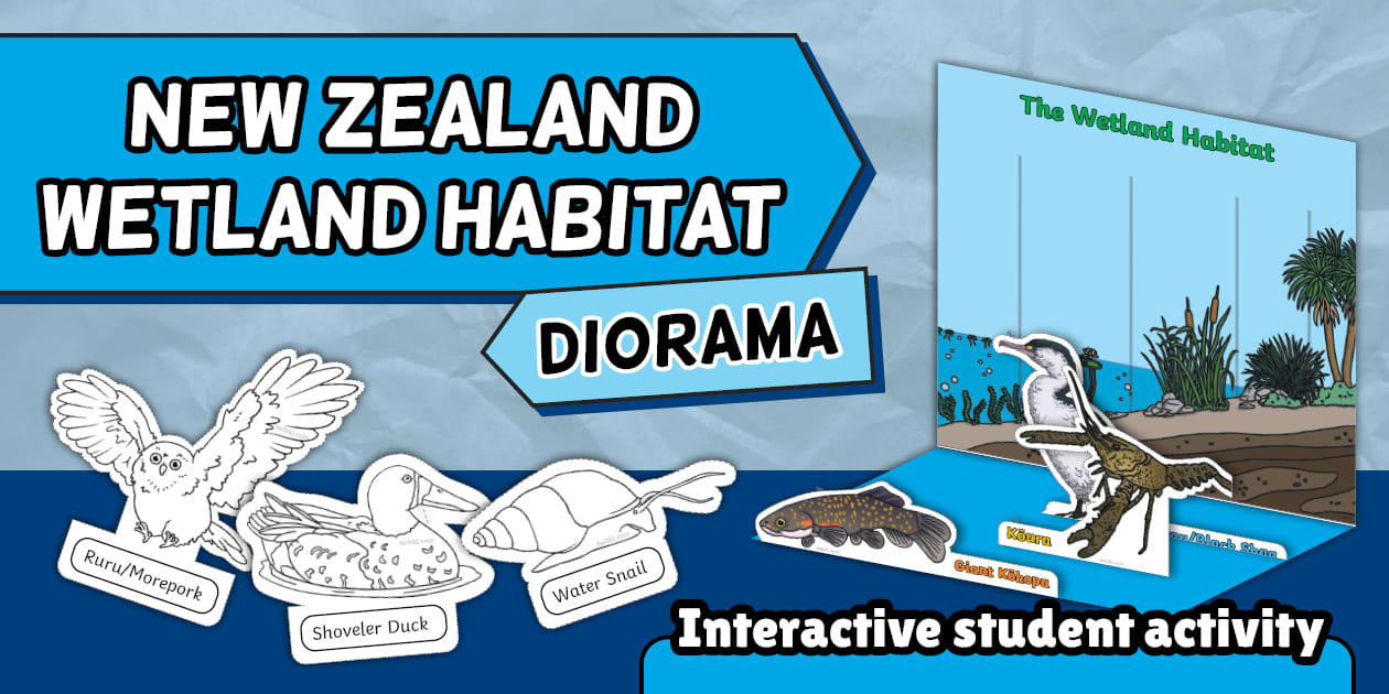 New Zealand Wetland Habitat Diorama