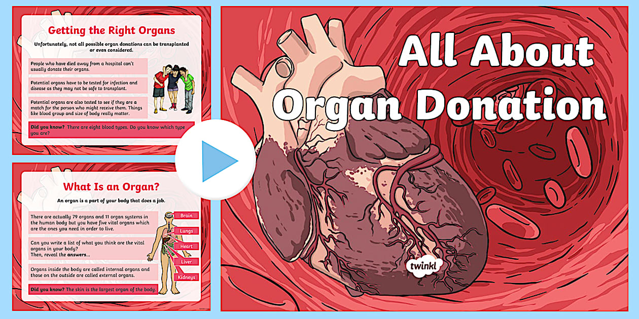 All About Organ Donation PowerPoint (teacher made) - Twinkl