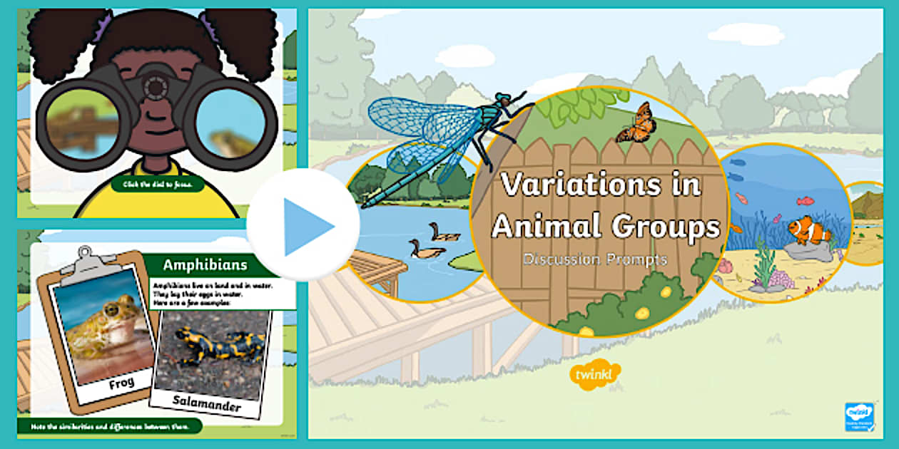 Animal Groups PowerPoint (teacher made) - Twinkl