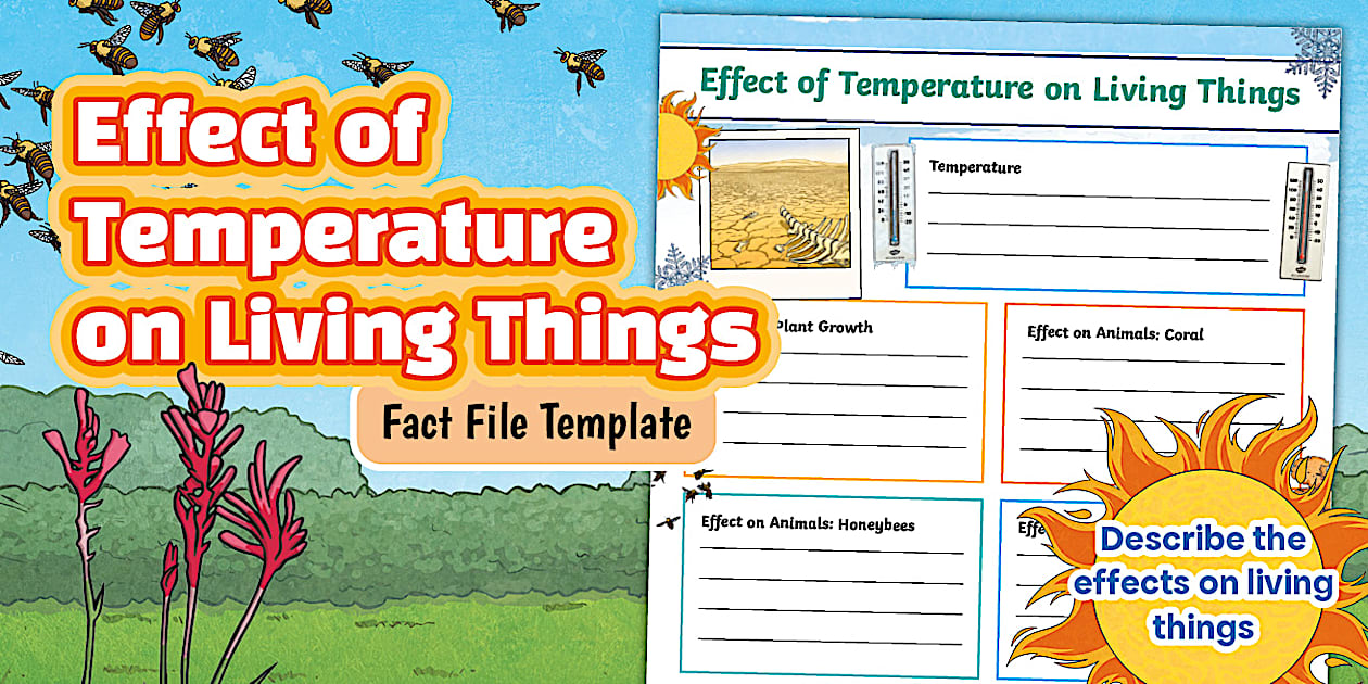 Effect of Temperature on Living Things Fact File Template