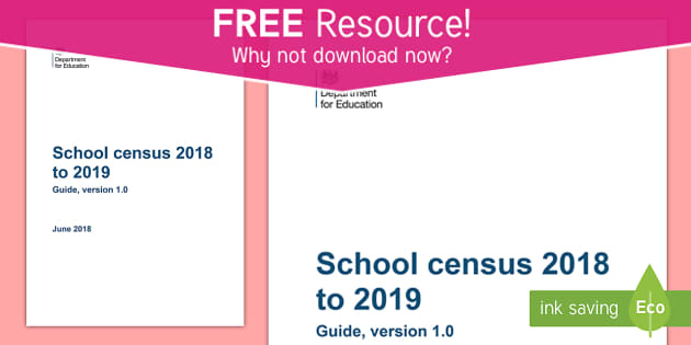 School Census 2018 to 2019 DfE June 2018 Adult Guidance