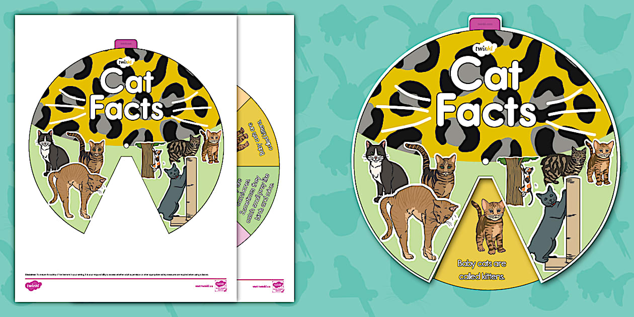Cat Facts Spinning Wheel - Twinkl More Subjects - Twinkl