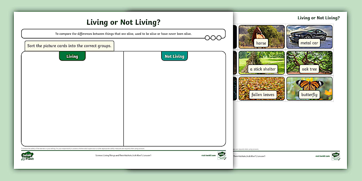 Living or Not Living Picture Cards Sorting Activity - Twinkl