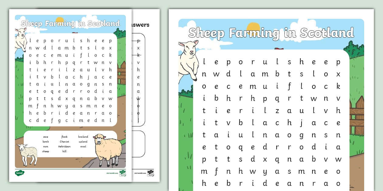 Sheep Farming in Scotland Word Search (teacher made)
