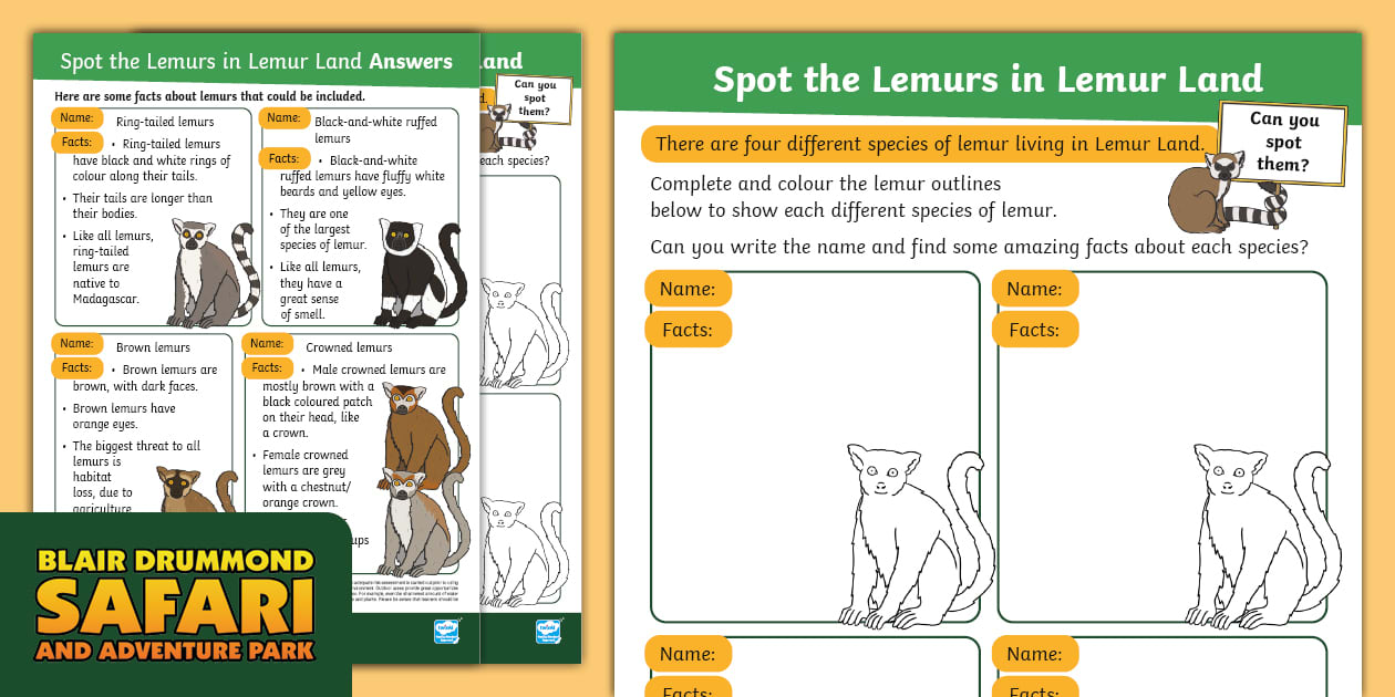 Blair Drummond: Lemur Activity Sheet (teacher made) - Twinkl