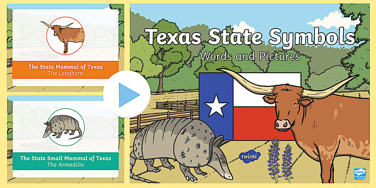 Texas State Symbols Words and Texas Pictures PowerPoint