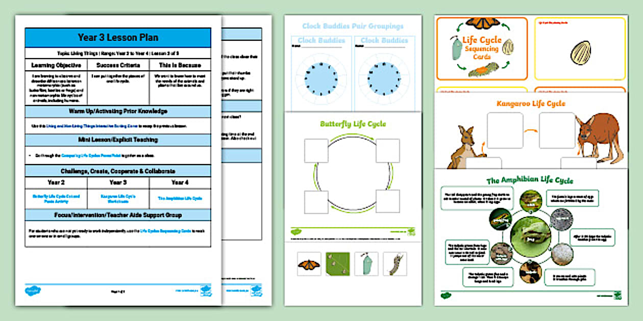 Year 3 Inclusion Living Things Differentiated Lesson Plan 2