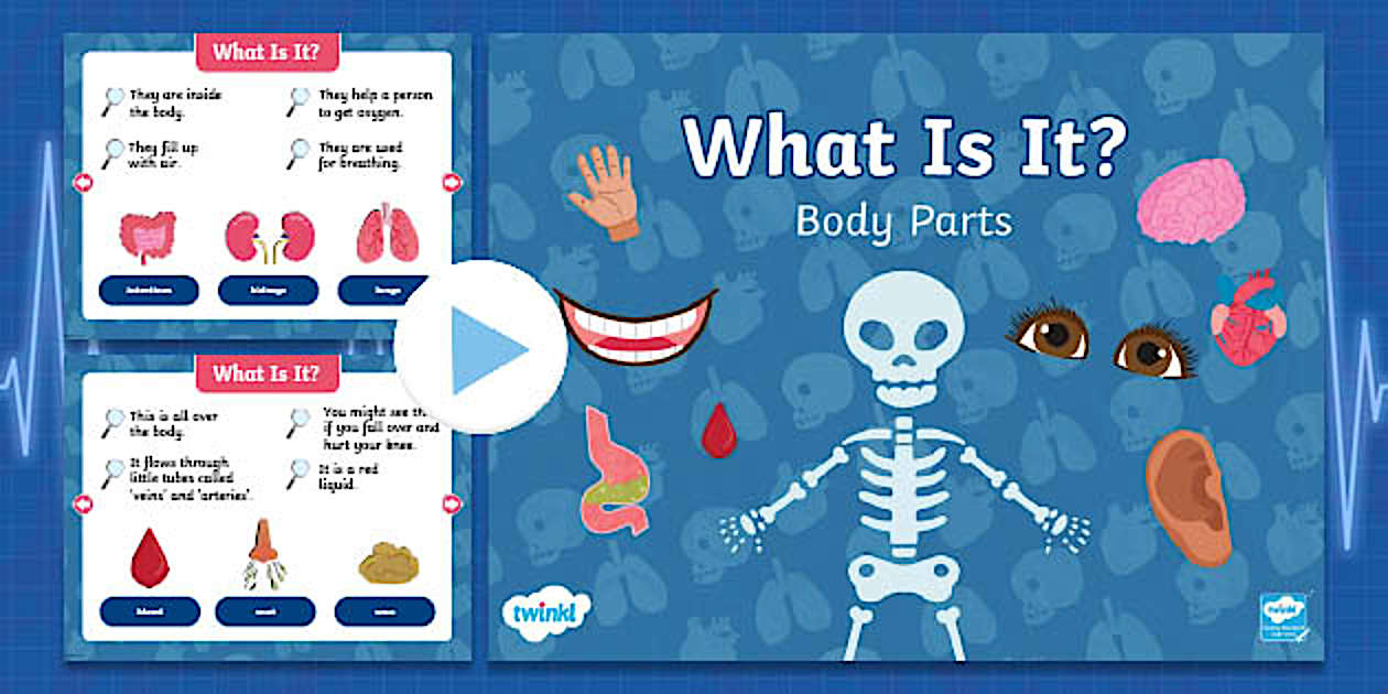 What Is It? Guess the Human Body Parts PowerPoint - Twinkl