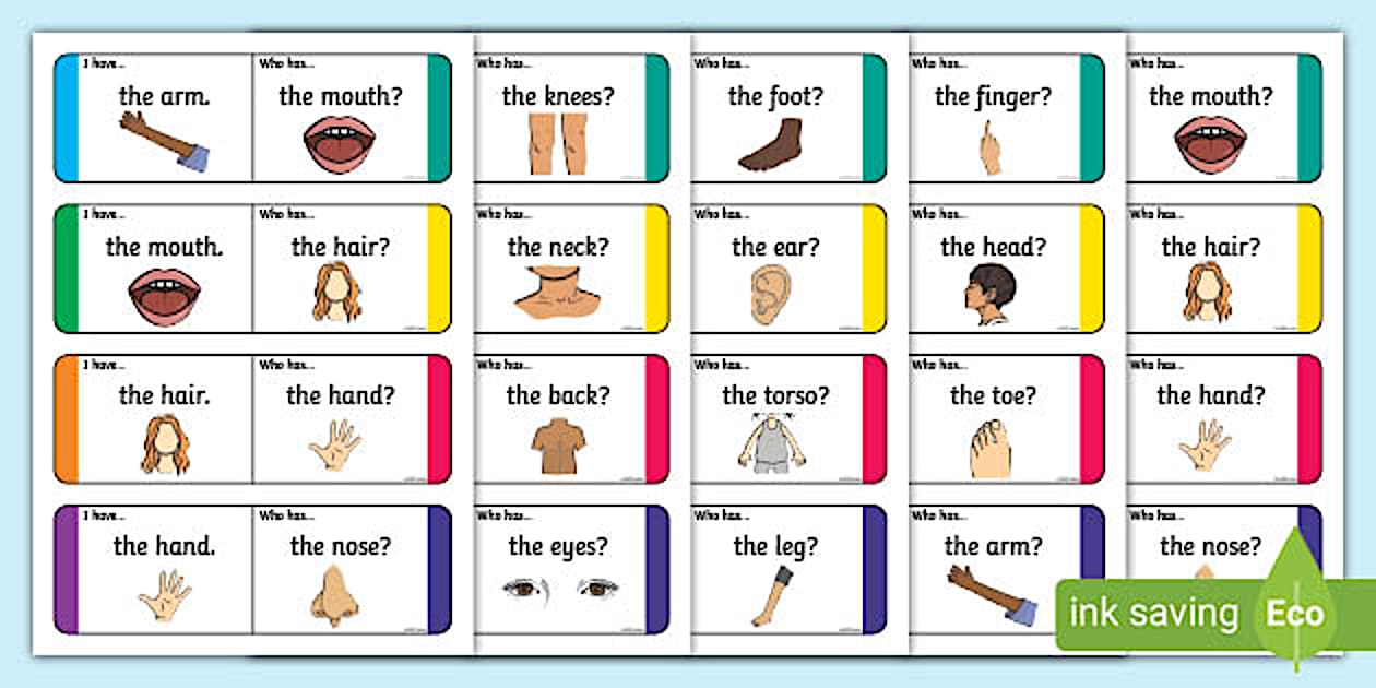 Parts of the Body Loop Cards (teacher made) - Twinkl