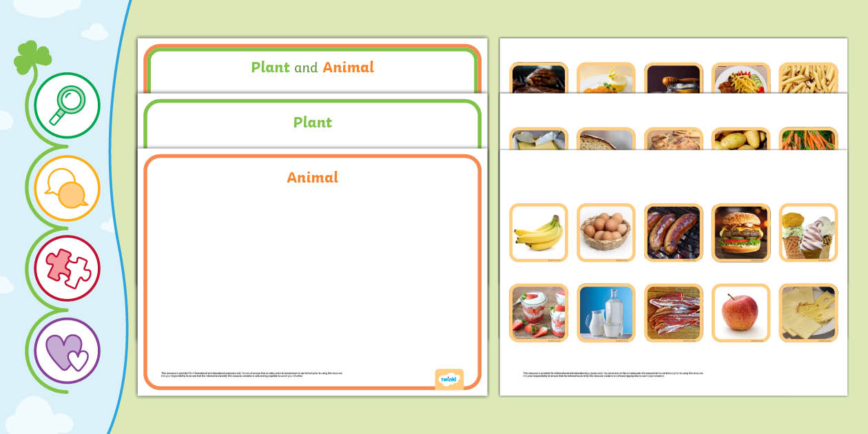 Where Does our Food Come From? (teacher made) - Twinkl