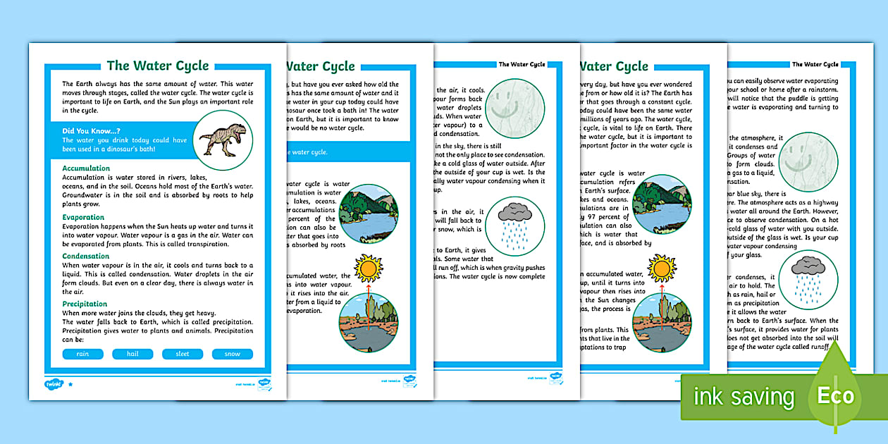 Middle Ability The Water Cycle Differentiated Reading Comprehension ...