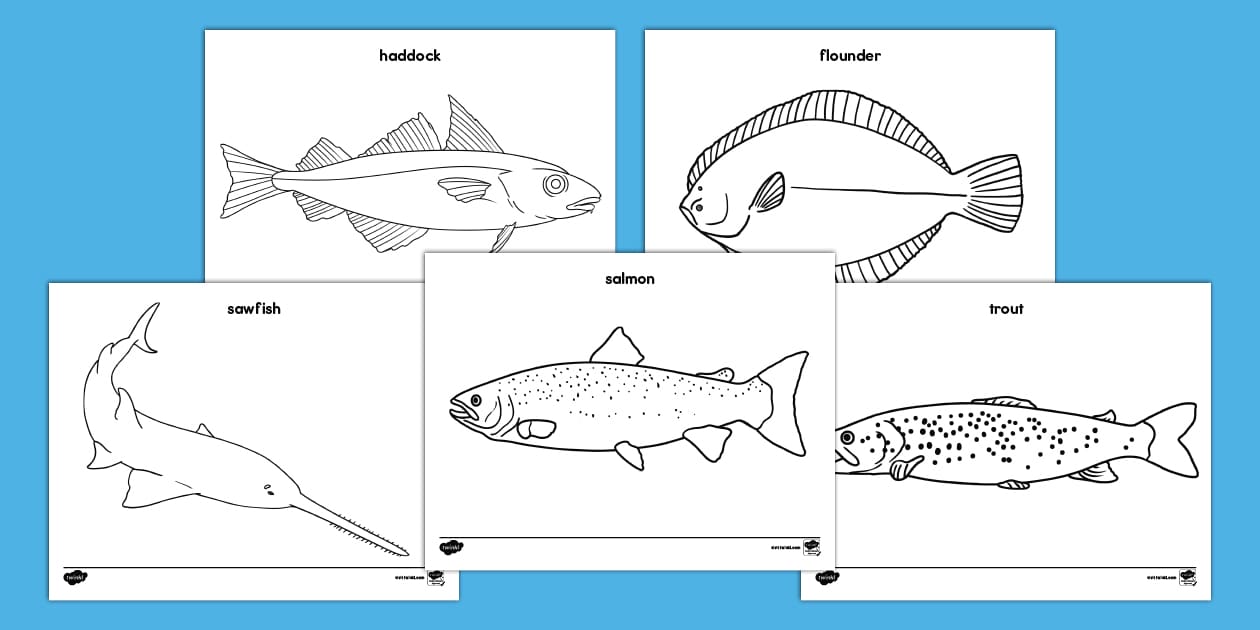 Types of Fish Coloring Sheets (teacher made) - Twinkl