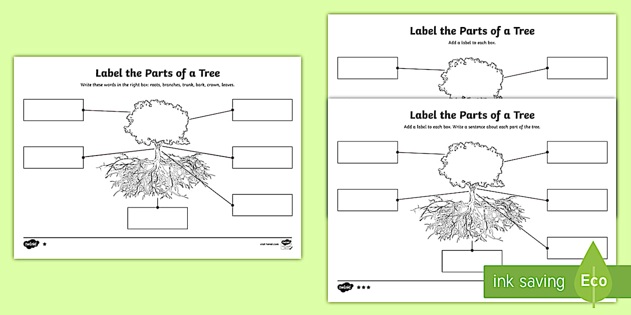 KS1 Differentiated Worksheets -Diagram of a Tree with Labels