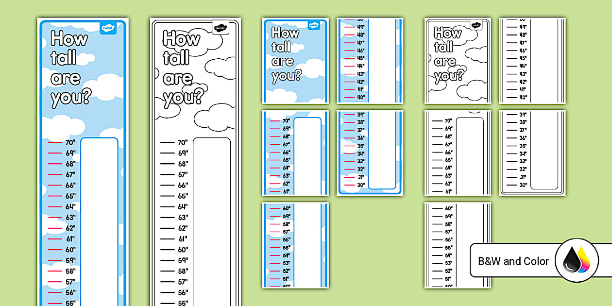 Height Chart (teacher made) - Twinkl